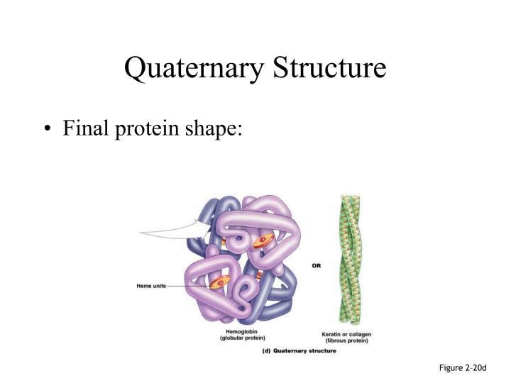 PPT - Anatomy & Physiology Lecture #1 - Introduction PowerPoint ...