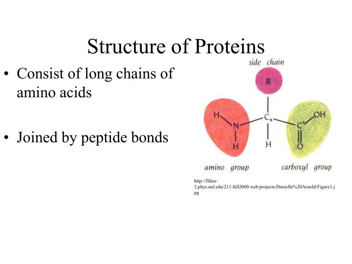 PPT - Anatomy & Physiology Lecture #1 - Introduction PowerPoint ...
