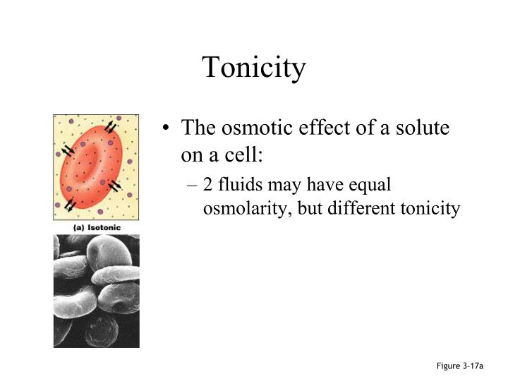 PPT - Anatomy & Physiology Lecture #1 - Introduction PowerPoint ...
