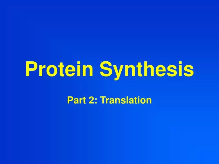 PPT - Protein Synthesis PowerPoint Presentation, free download - ID:6117060