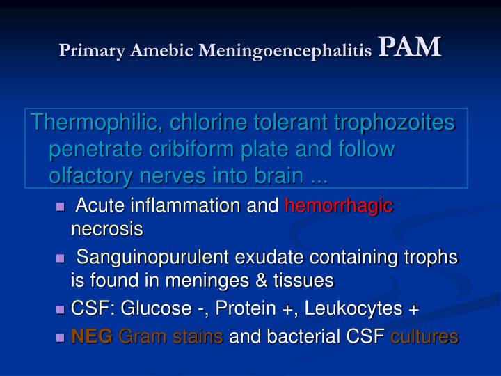 Primary Amebic Meningoencephalitis