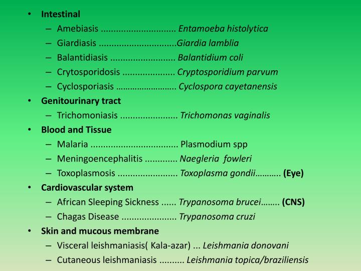 PPT - Introduction to Parasites PowerPoint Presentation - ID:6120373