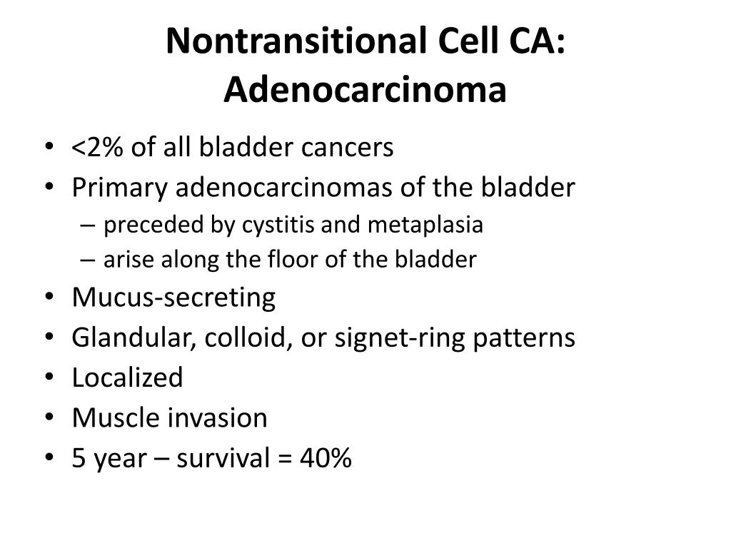 PPT - Urothelial CA: Cancers of the Bladder, Ureter, and Renal Pelvis ...