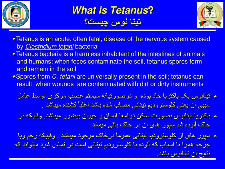 PPT - Tetanus تیتانوس PowerPoint Presentation - ID:6123077