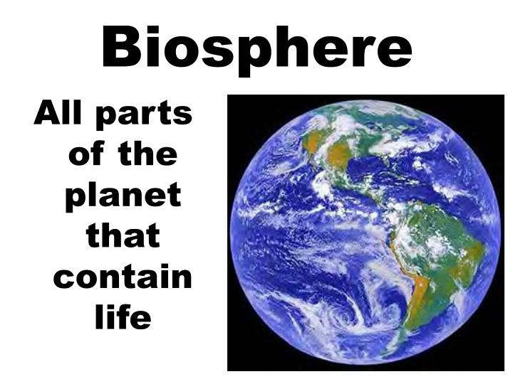 PPT - Ecology Notes PowerPoint Presentation - ID:6123269