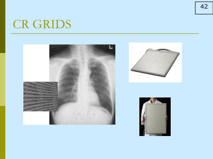 PPT - Grids PowerPoint Presentation - ID:6123367