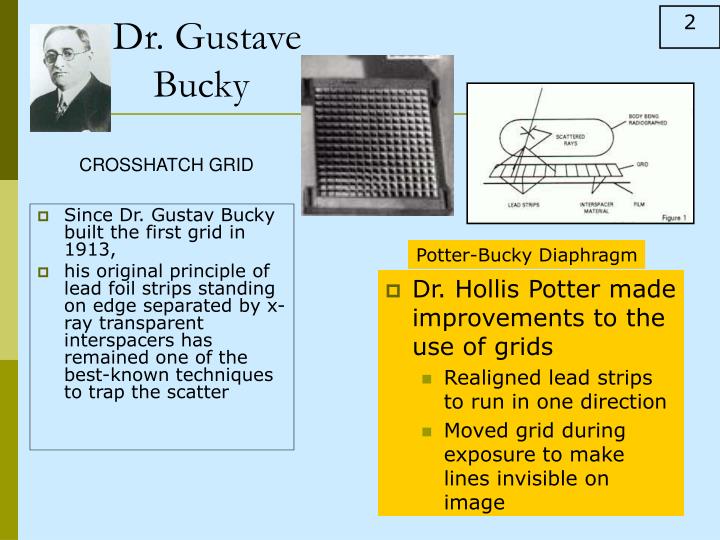 PPT - Grids PowerPoint Presentation - ID:6123367