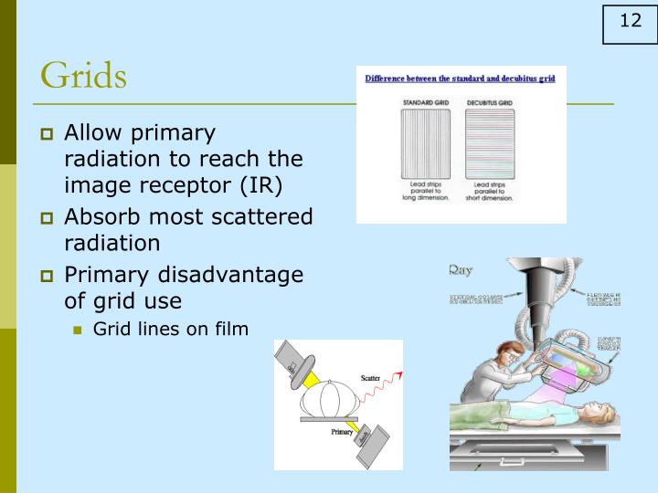 PPT - Grids PowerPoint Presentation - ID:6123367