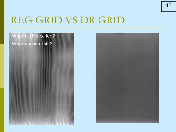 PPT - Grids PowerPoint Presentation - ID:6123367
