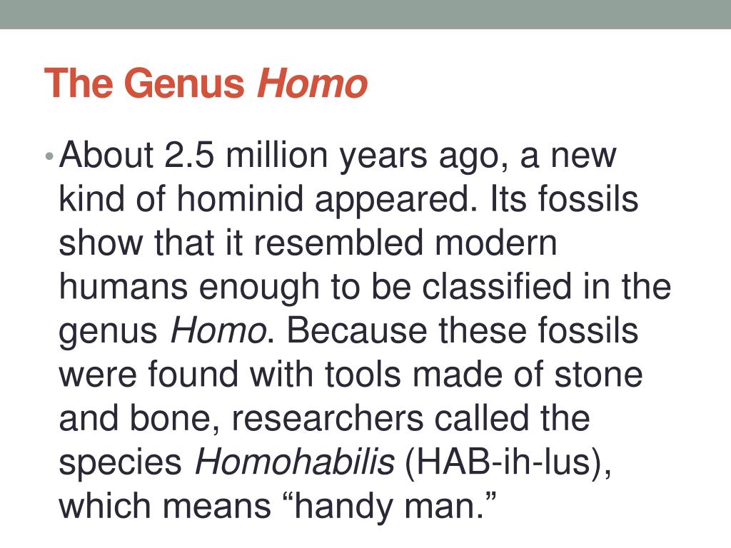 PPT - Primates and Human Origins PowerPoint Presentation, free download ...