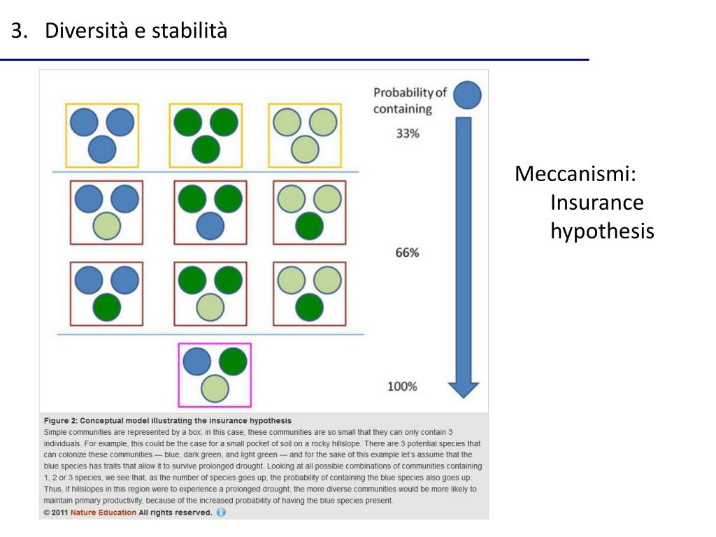 PPT - PARTE 3 Biodiversità e funzionamento degli ecosistemi terrestri ...