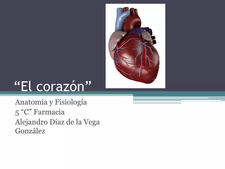 PPT - “El corazón” PowerPoint Presentation, free download - ID:6127634