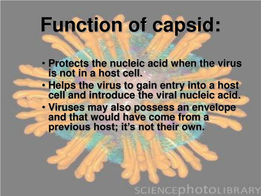 PPT - Viral disease PowerPoint Presentation, free download - ID:6128253