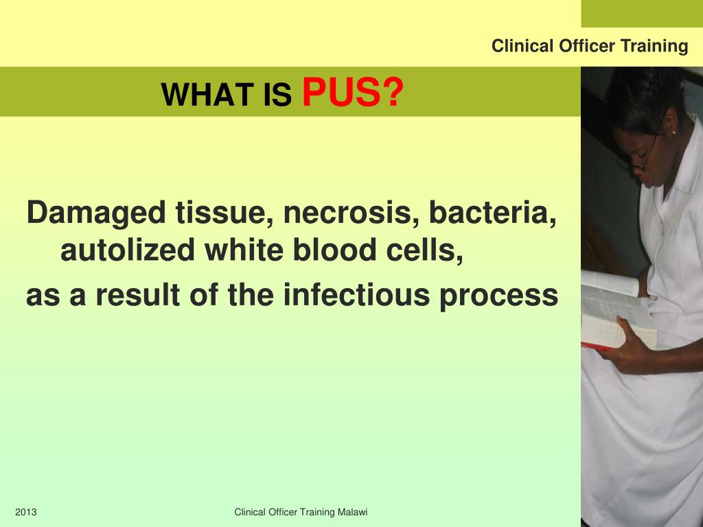 PPT - Clinical Officer Training MALAWI PowerPoint Presentation, free ...