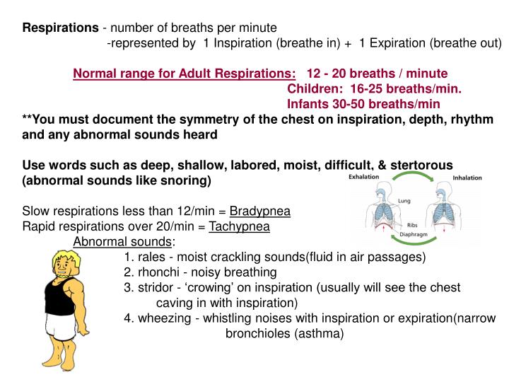 PPT - VITAL SIGNS PowerPoint Presentation - ID:6132486