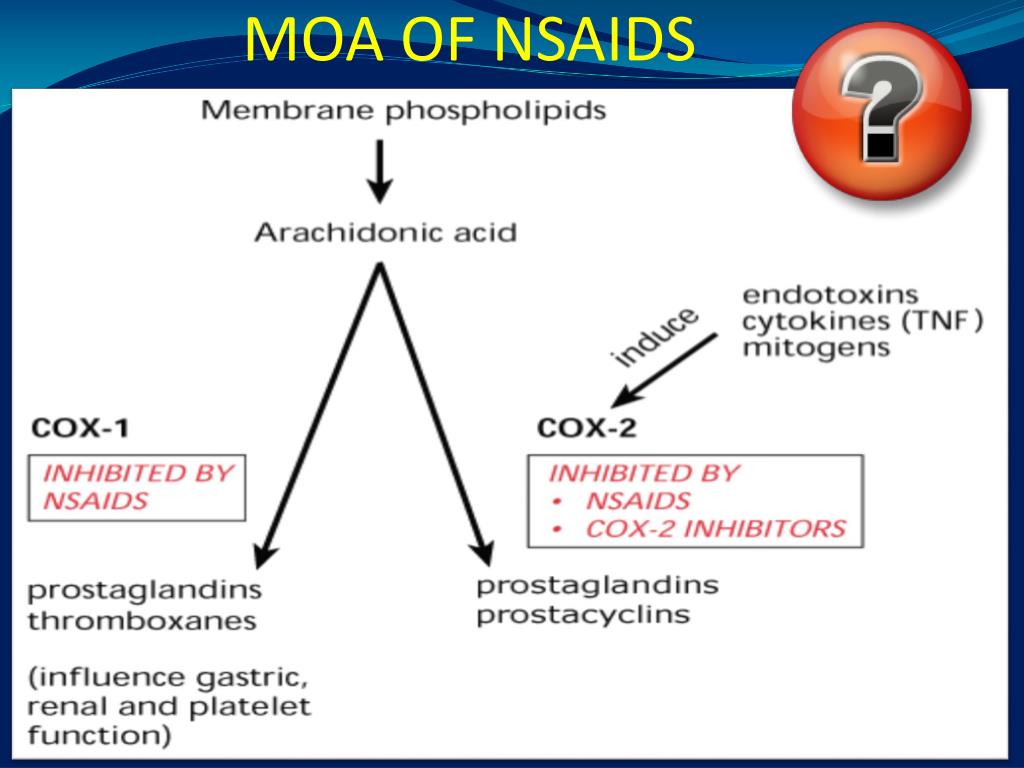 PPT - Non- Steroidal Anti-inflammatory Drugs (NSADs) PowerPoint ...