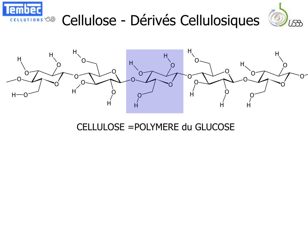 PPT - Mise au Point et Développement de Pâtes de Cellulose à Haut ...