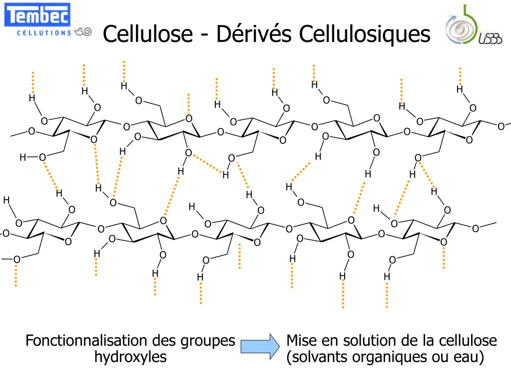 PPT - Mise au Point et Développement de Pâtes de Cellulose à Haut ...
