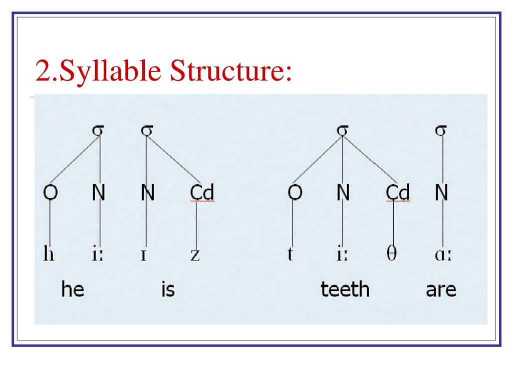 Tree Diagram Of Syllable Structure Syllable Structure In Eng