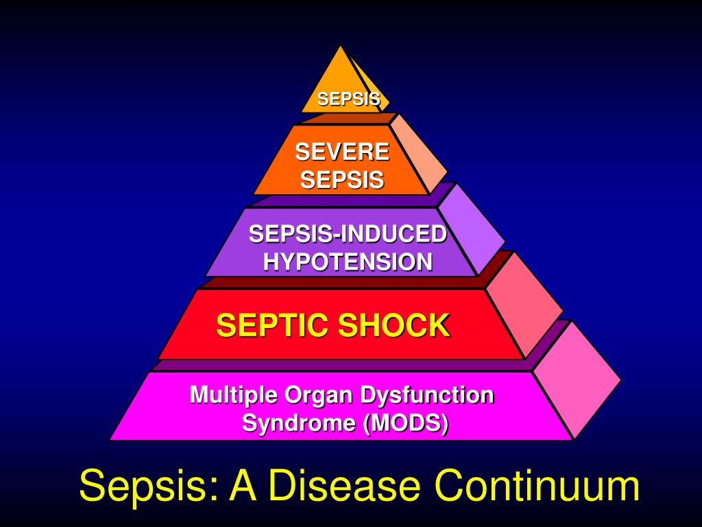 Ppt Sepsis And Septic Shock Powerpoint Presentation Free Download Id