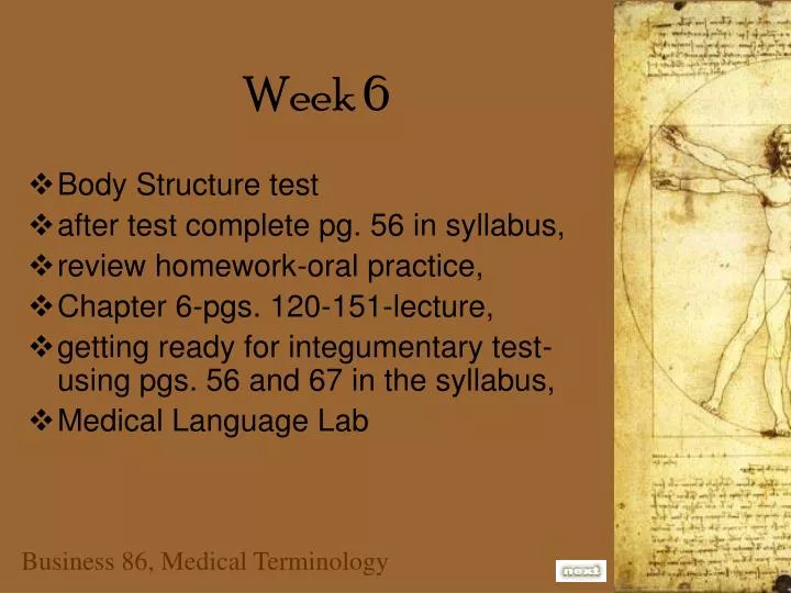 PPT - Week 6 PowerPoint Presentation, free download - ID:6137924