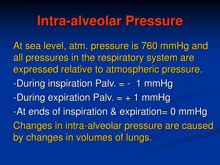 PPT - Pulmonary Ventilation PowerPoint Presentation - ID:6138271