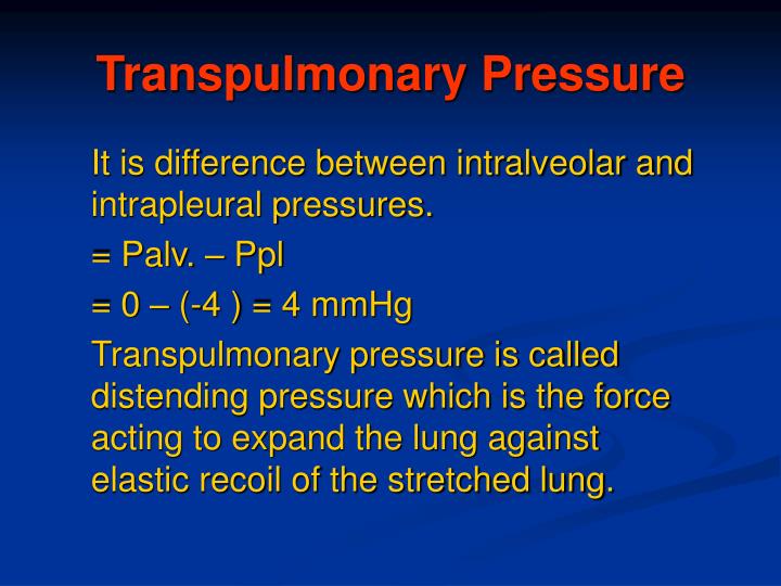 PPT - Pulmonary Ventilation PowerPoint Presentation - ID:6138271