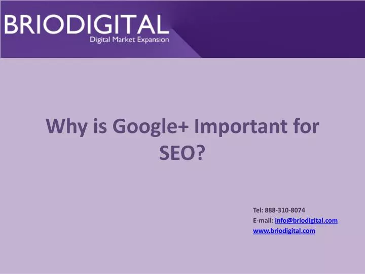 PPT - Why is Google Important for SEO? PowerPoint Presentation, free ...