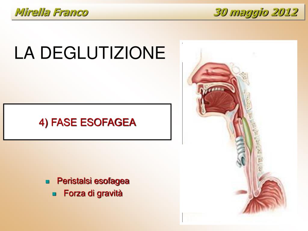 PPT - La valutazione del paziente PowerPoint Presentation, free ...