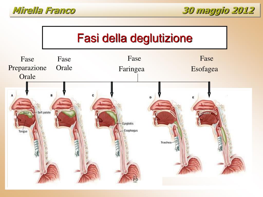 PPT - La valutazione del paziente PowerPoint Presentation, free ...