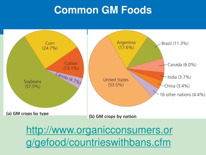 PPT - An Introduction to Food PowerPoint Presentation - ID:6141047