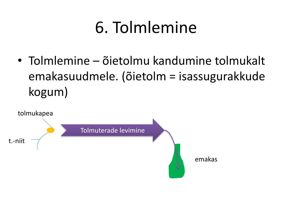 PPT - Sissejuhatus botaanikasse. Õistaimede organid. PowerPoint ...