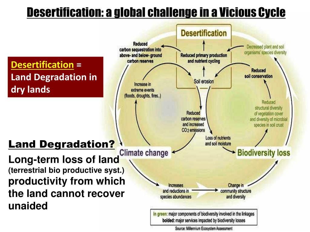 PPT - Tackling Land Degradation : A Prerequisite for Human Security ...