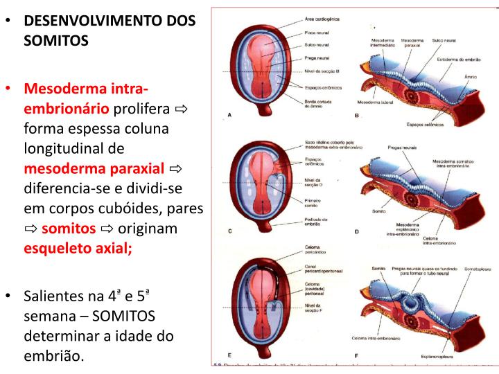 PPT - PowerPoint Presentation - ID:6144913