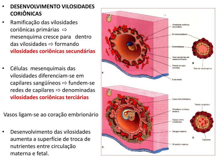 PPT - PowerPoint Presentation - ID:6144913