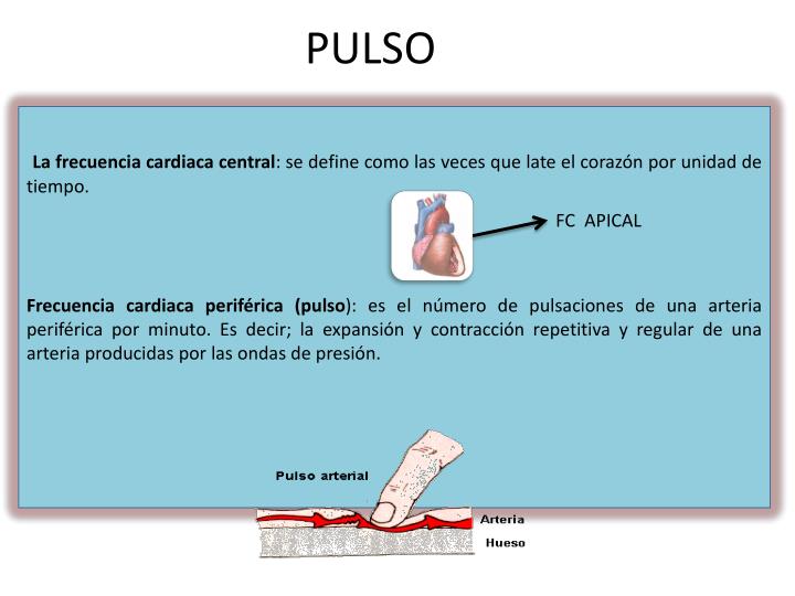 PPT - Signos vitales PowerPoint Presentation - ID:6146529