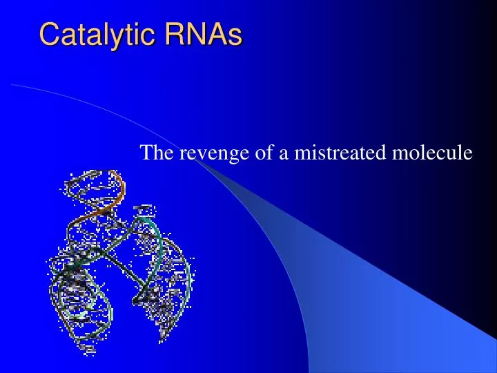 PPT - Catalytic RNAs PowerPoint Presentation, free download - ID:6146988