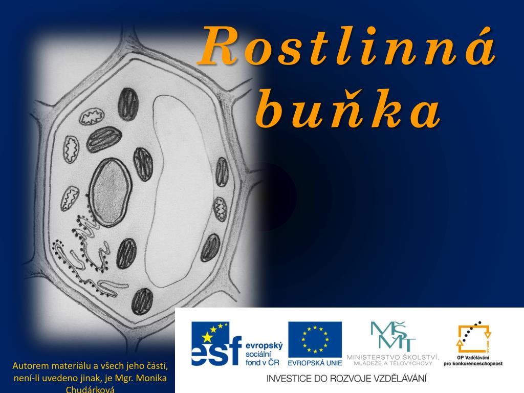PPT - Rostlinná buňka Přírodopis VY_32_INOVACE_162 , 9. sada, Př3 ...