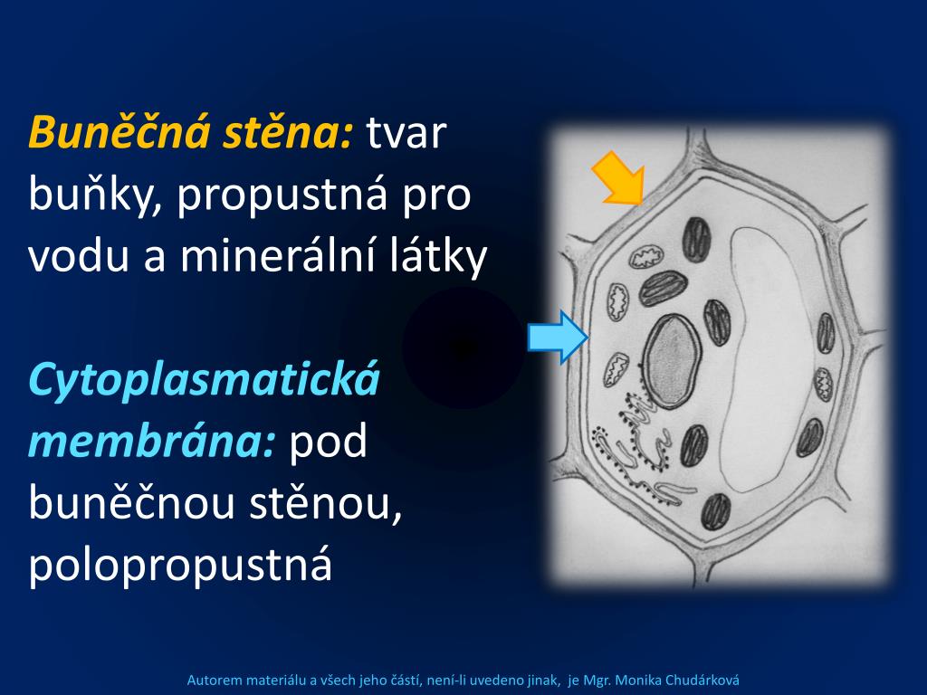 PPT - Rostlinná buňka Přírodopis VY_32_INOVACE_162 , 9. sada, Př3 ...