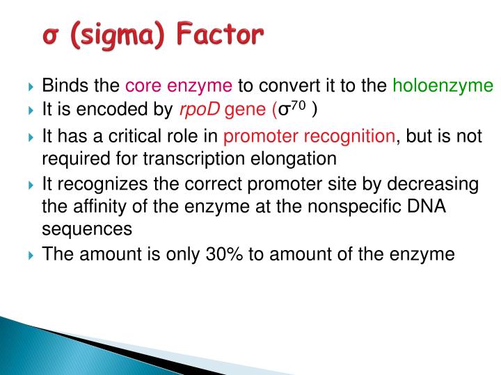 PPT - E. coli RNA Polymerase PowerPoint Presentation - ID:6147560
