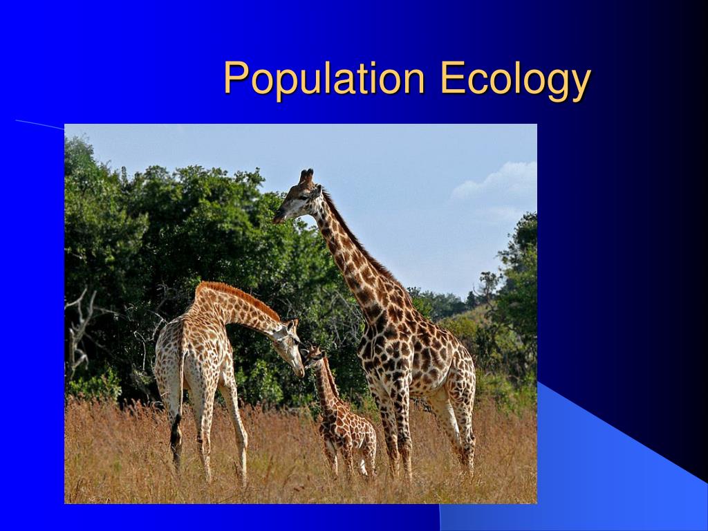 Ppt Population Ecology Powerpoint Presentation Free Download Id