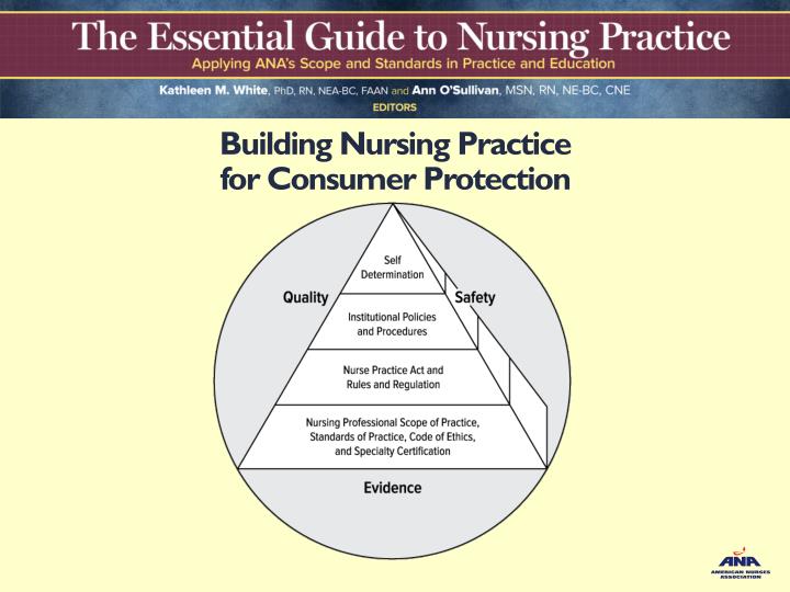 PPT - Using the ANA Standards of Nursing Practice and Professional ...