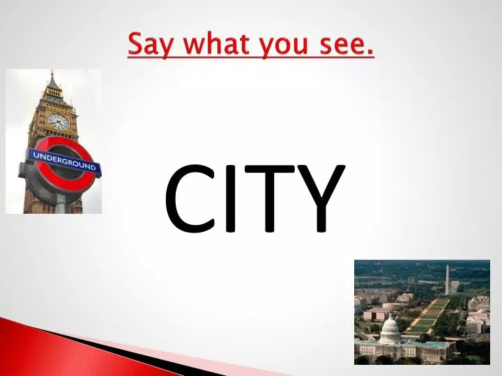 PPT - Say what you see. PowerPoint Presentation, free download - ID:6147804