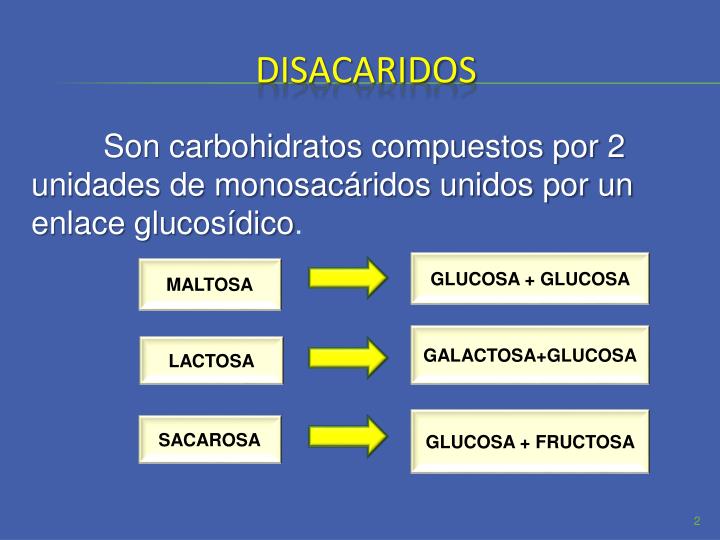 PPT - Disacáridos y Polisacáridos PowerPoint Presentation - ID:6150083
