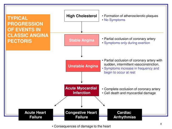 PPT - Hyperlipidemia PowerPoint Presentation - ID:6150331
