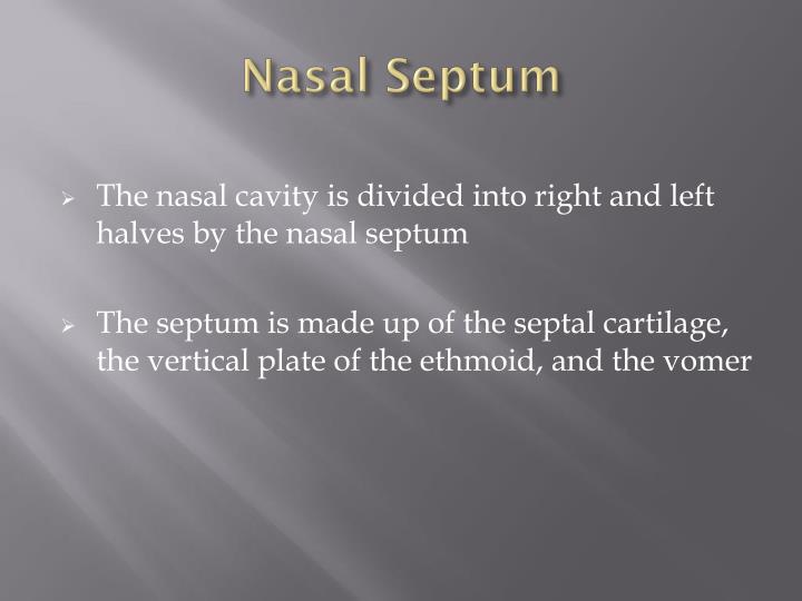 PPT - NASAL CAVITY & PARANASAL SINUSES PowerPoint Presentation - ID:6150524
