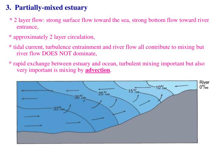 PPT - Chapter 12 - Coasts, Beaches, Estuaries The Oregon coast ...