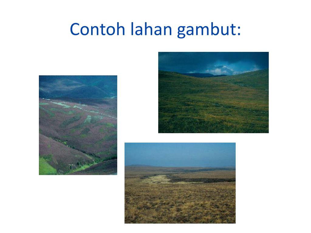 PPT - Pengelolaan tanah gambut PowerPoint Presentation, free download ...