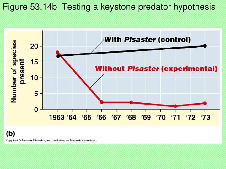 PPT - Introduction to Ecology PowerPoint Presentation - ID:6150922