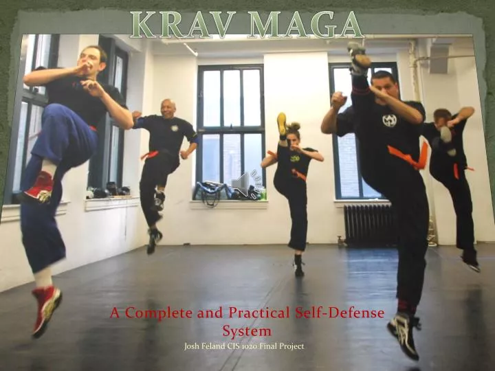 PPT - A Complete and Practical Self-Defense System PowerPoint ...